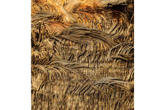 Williamstown Camera Club — Home